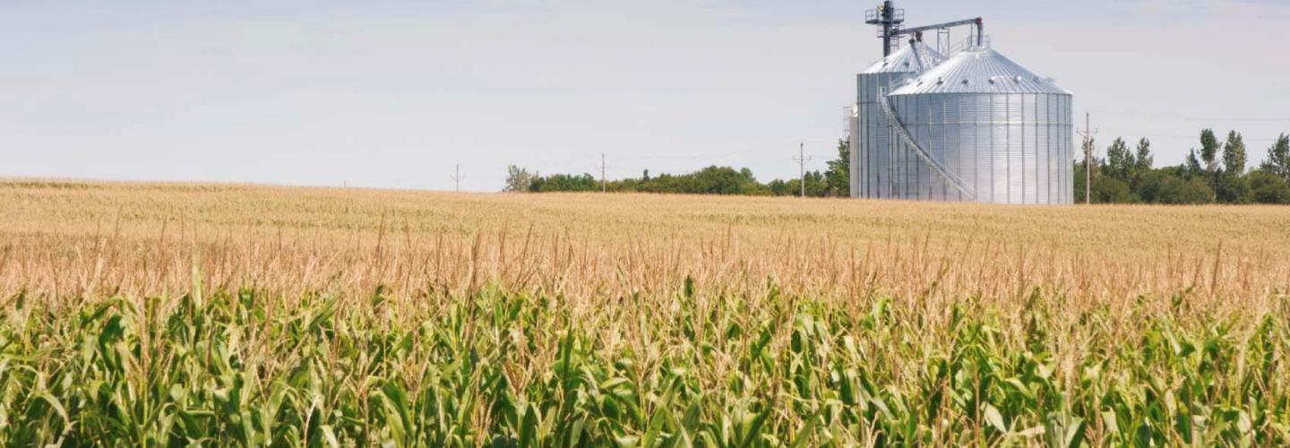 Jeff Ritter | Foresight Financial Management, LLC.